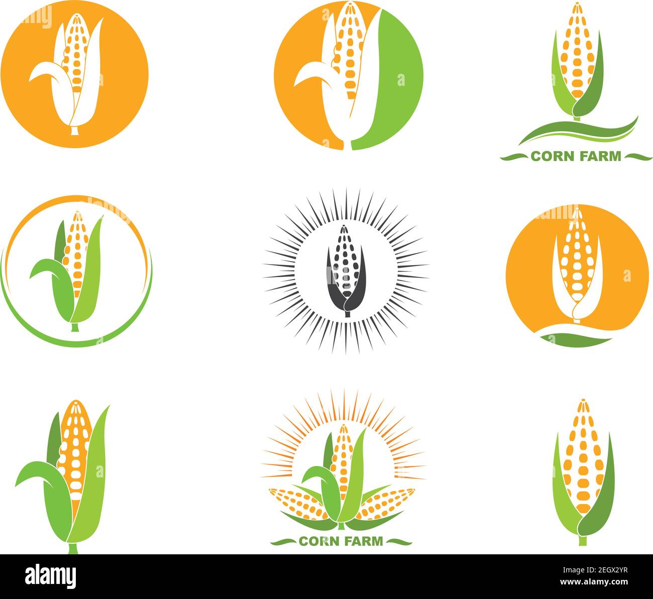 Kernels of seed corn Stock Vector Images - Alamy