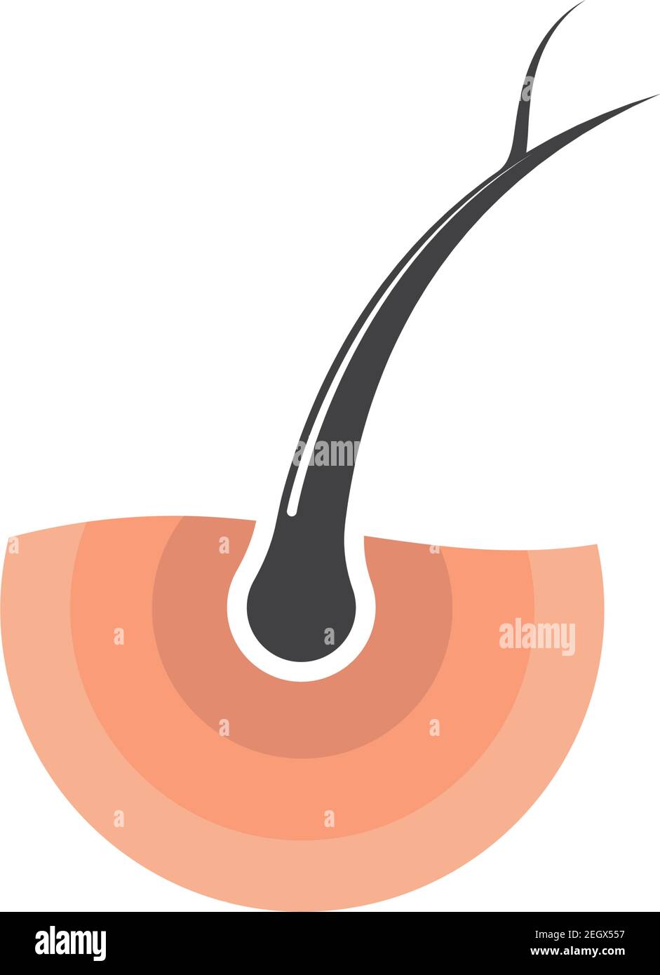 Loss of skin pigment hi-res stock photography and images - Alamy