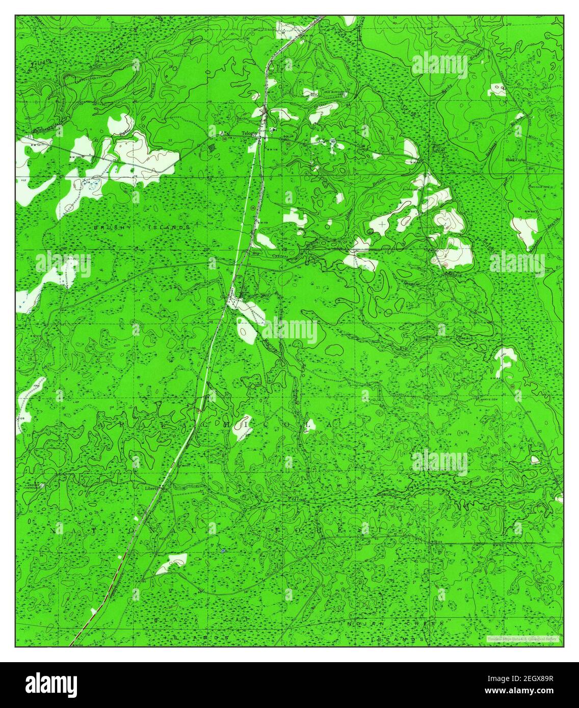 Telogia, Florida, map 1945, 1:24000, United States of America by ...