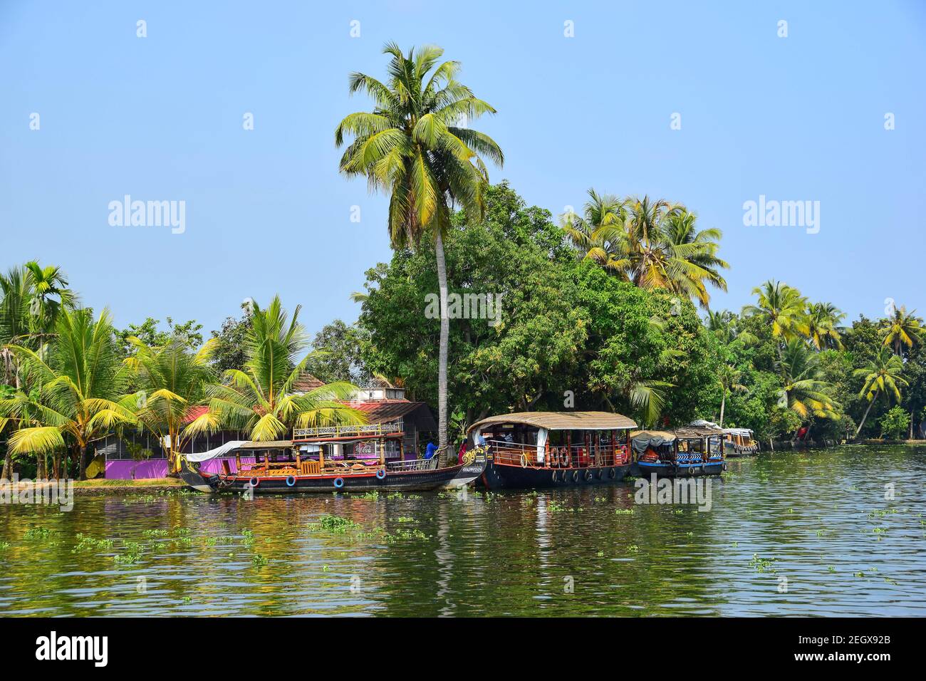Kerala Backwaters, Kerala, India Stock Photo - Alamy