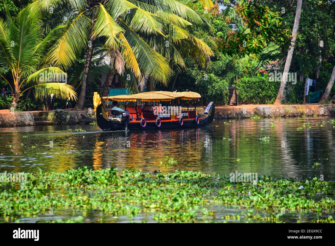 Kerala Backwaters, Kerala, India Stock Photo - Alamy