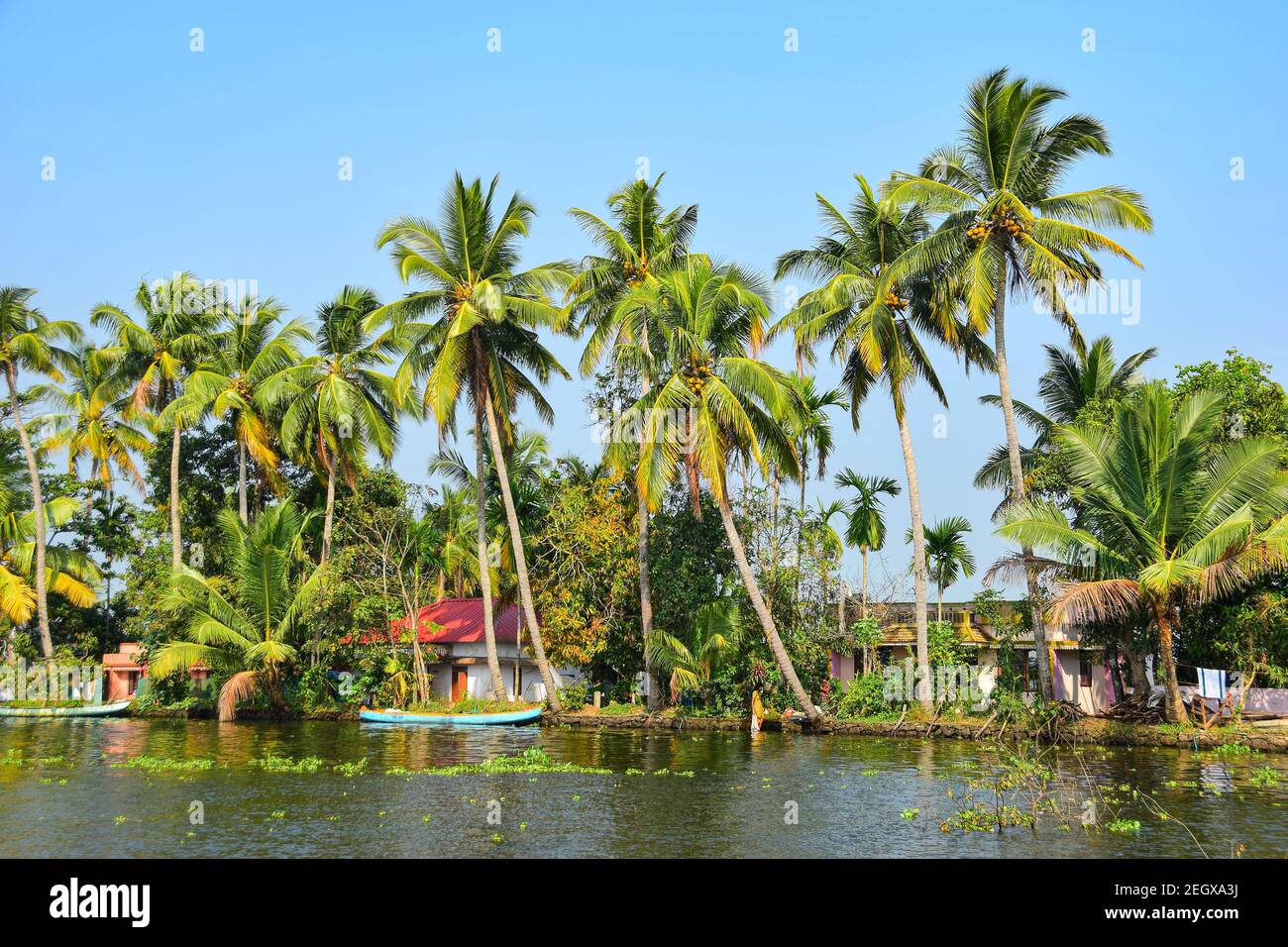 Kerala Backwaters, Kerala, India Stock Photo - Alamy