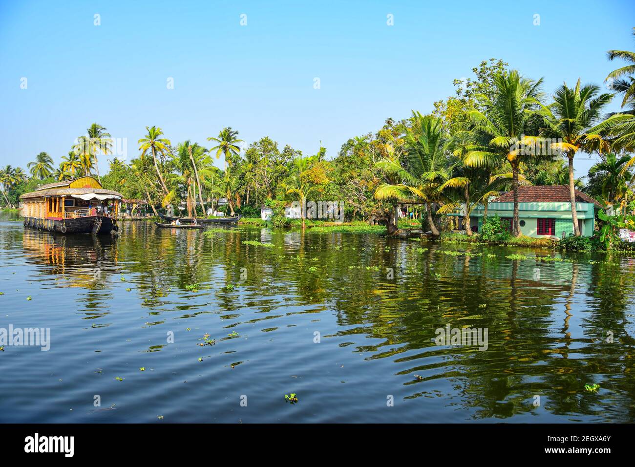 Houseboats, Kerala Backwaters, Kerala, India Stock Photo - Alamy