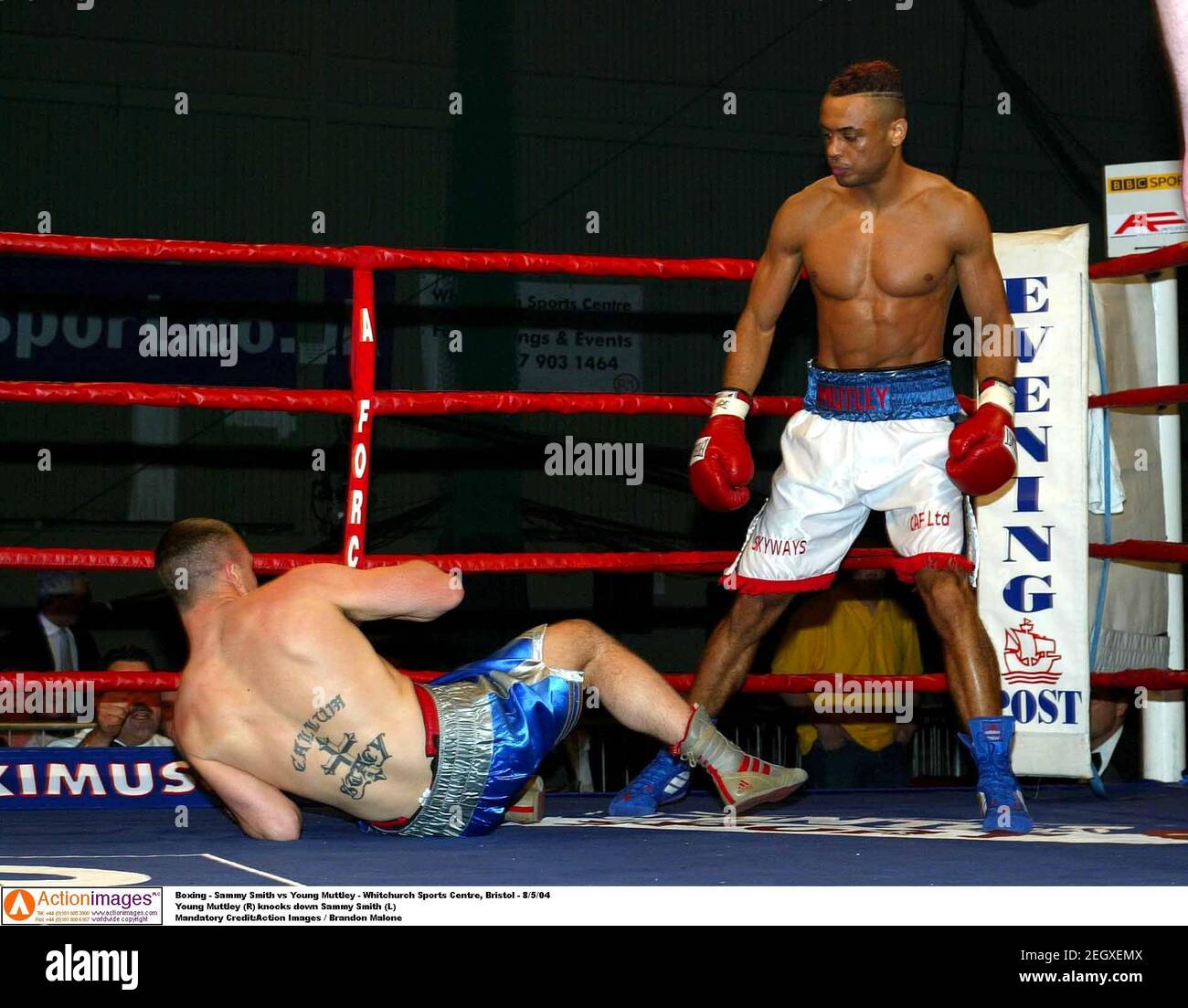 Muttley High Resolution Stock Photography and Images - Alamy