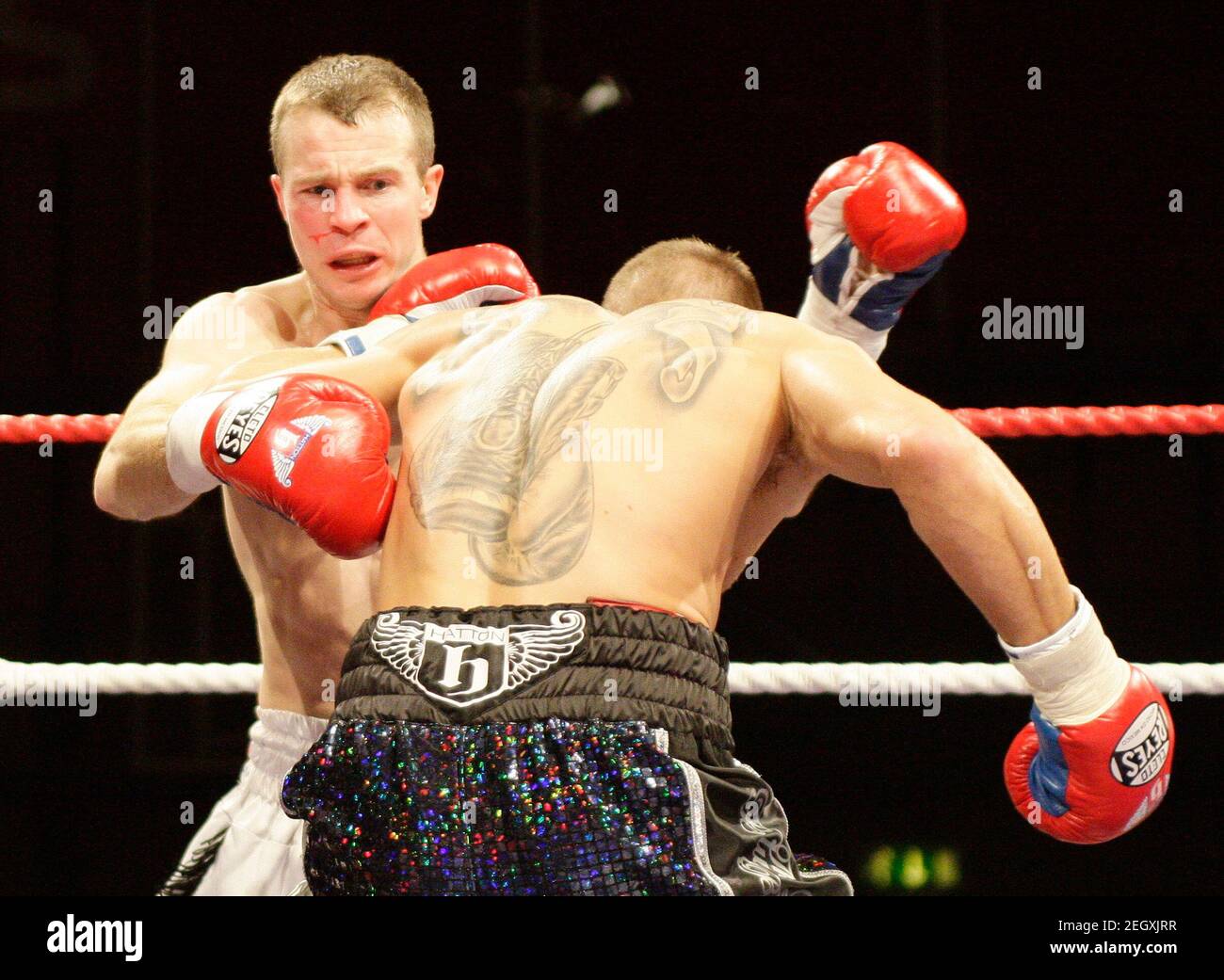 Robin parkinson hi-res stock photography and images - Alamy