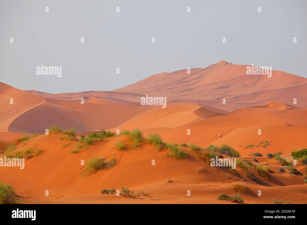 Beautiful sand dunes in the Namib desert, Namibia Stock Photo - Alamy