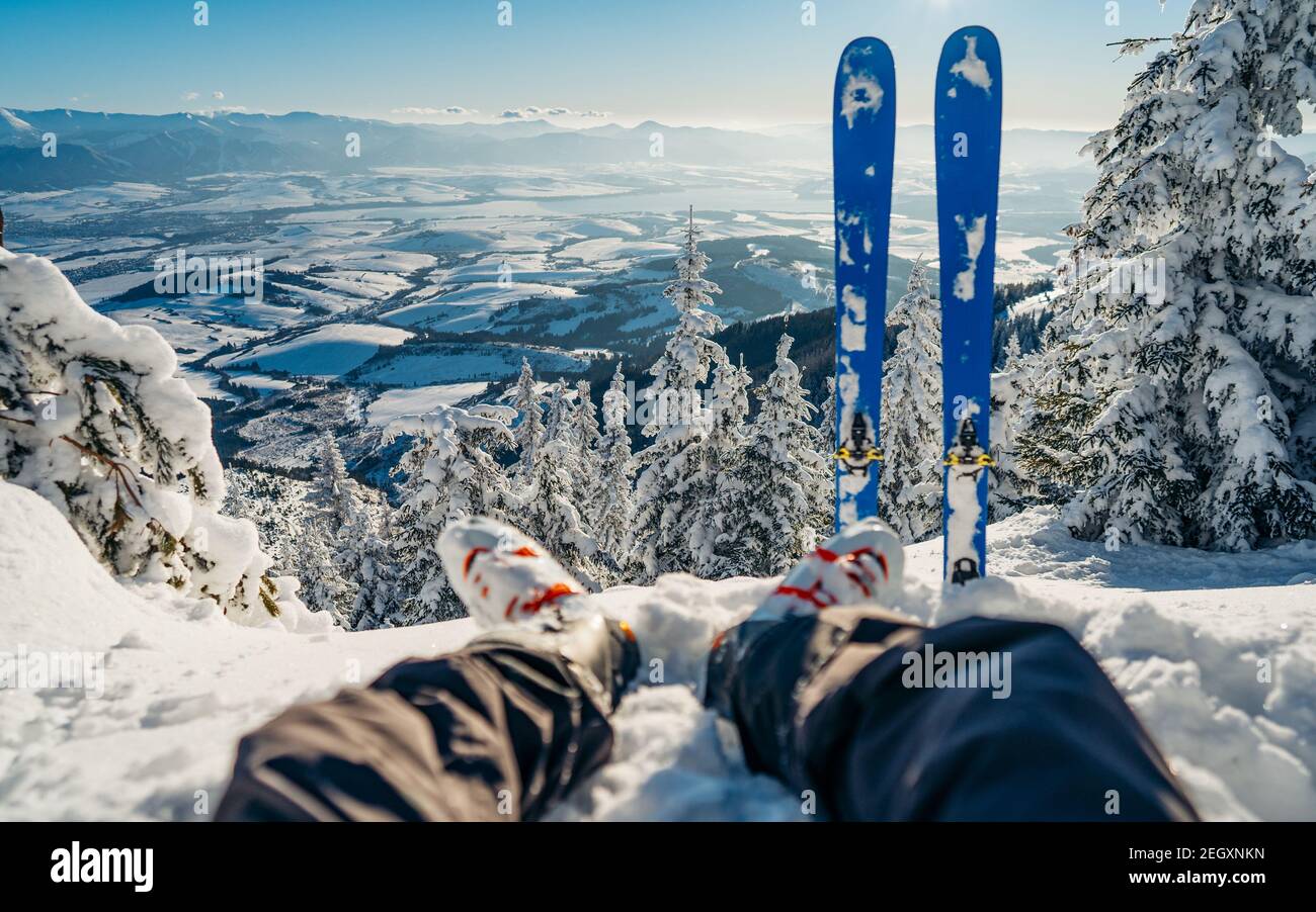 Ski equipment, trail, Alps, fir trees, falling snow, mountains ...