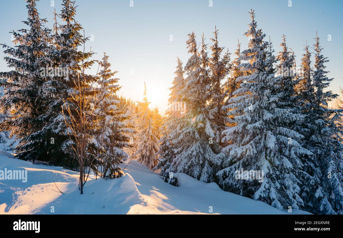 Amazing athmospheric Landscape. winter scenery at sunset. instagram ...