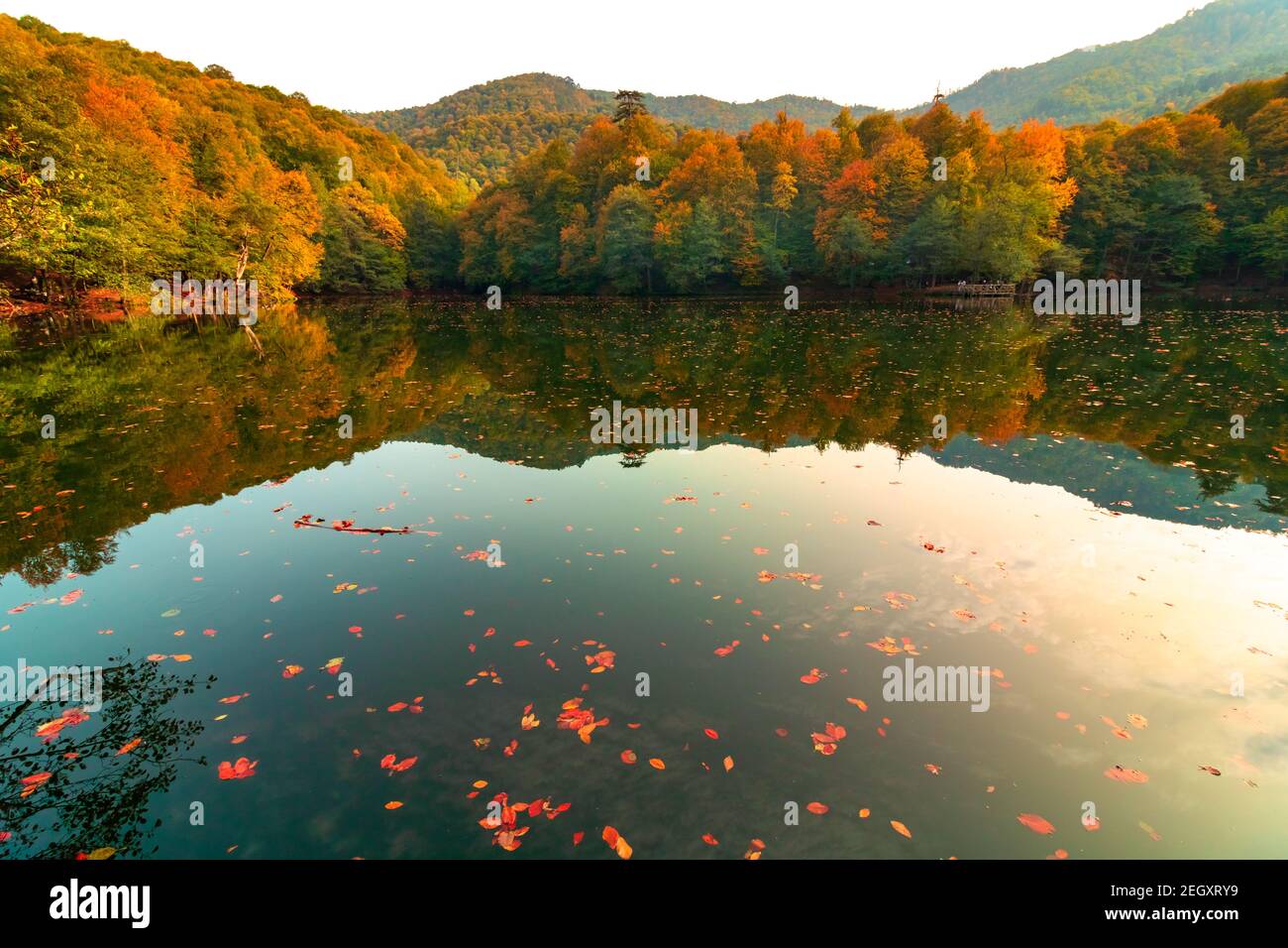 HDR photo of Landscape of the forest at autumn and lake. Reflections of ...