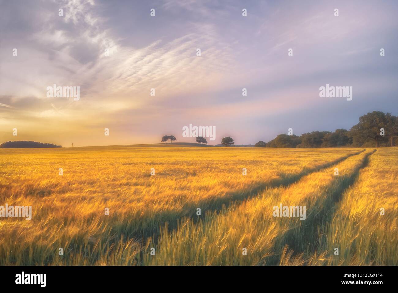 Idyllic farm scene uk sun hi-res stock photography and images - Alamy