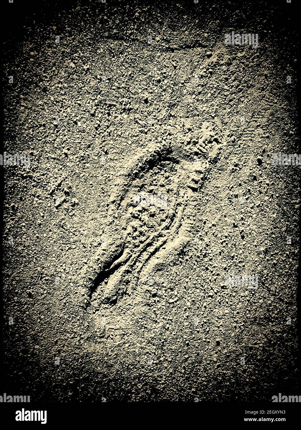 Footprint identification hi-res stock photography and images - Alamy