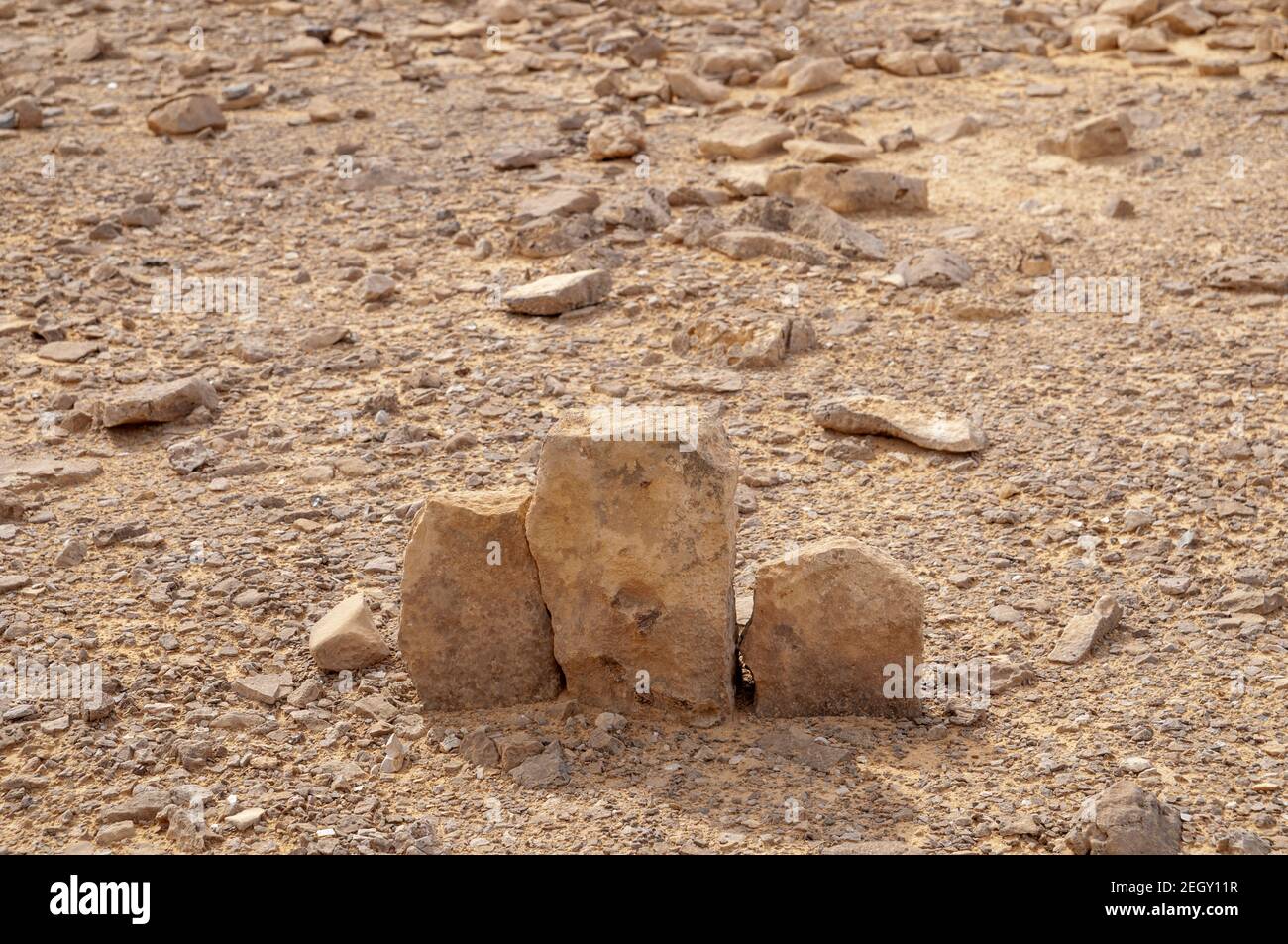 Sacred Pillars used as a prehistoric worshipping site in the Uvda ...