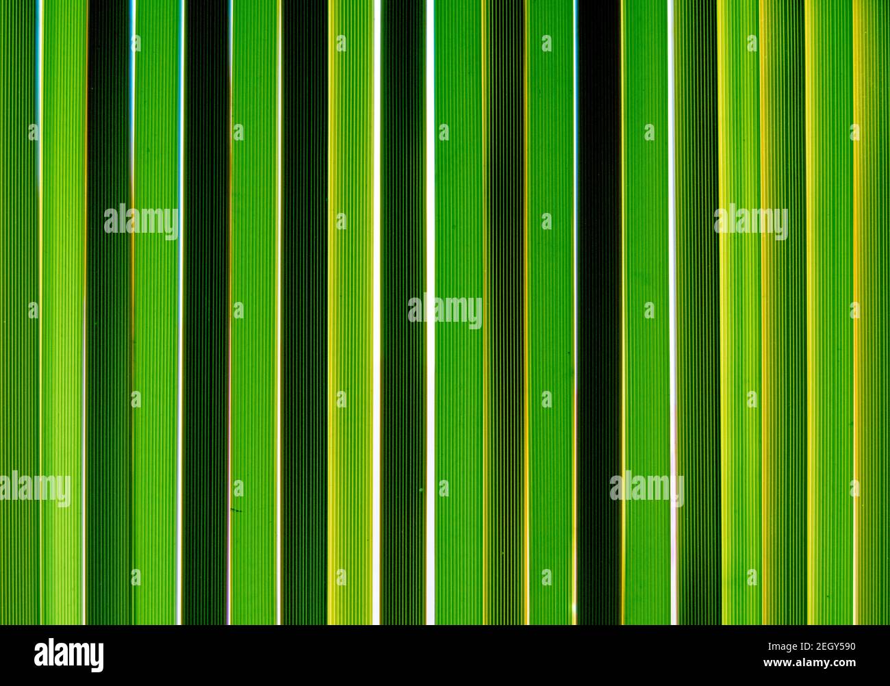 Curtain made of plastic strips in green tones for backgrounds, elements ...