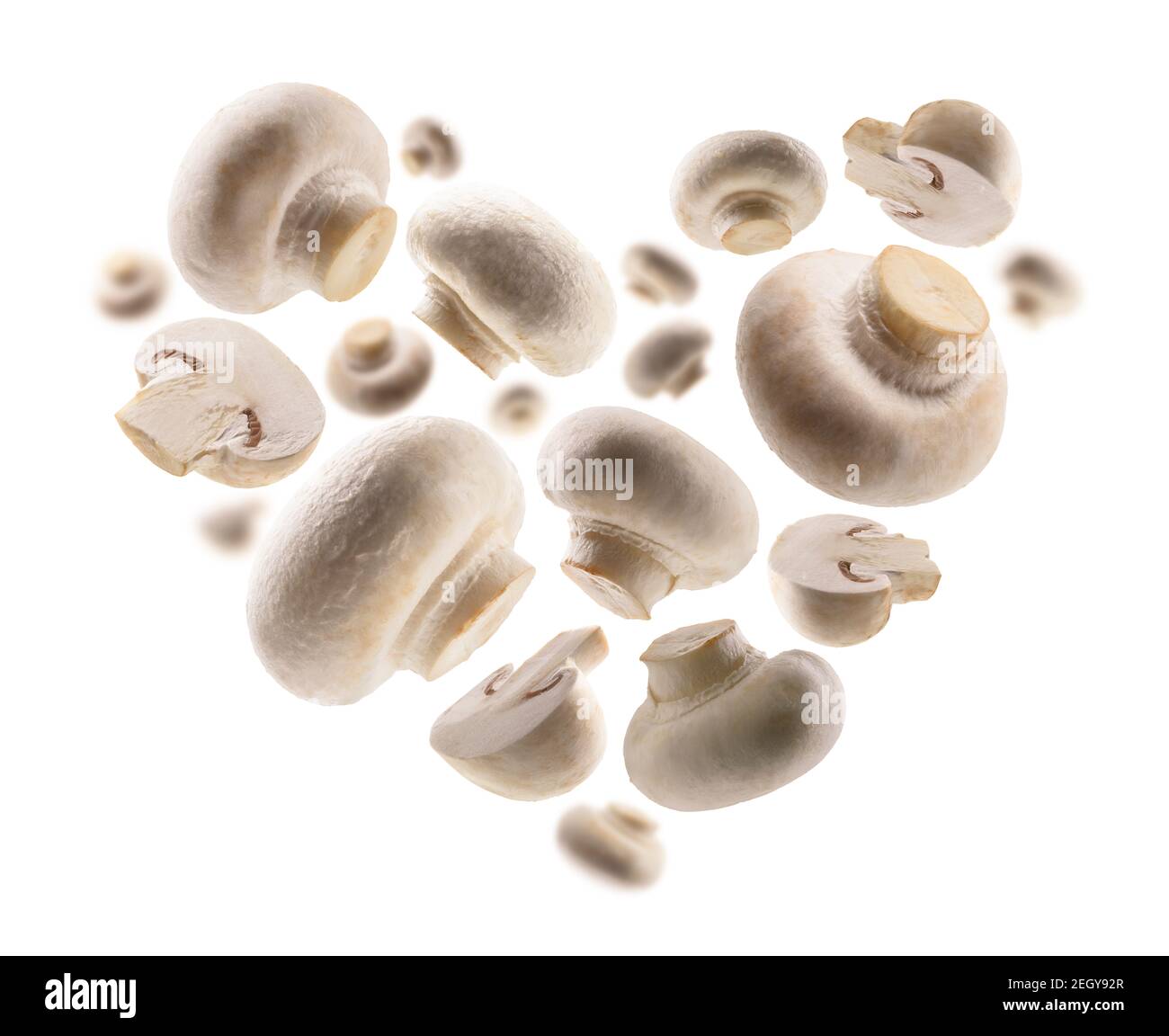 White mushrooms in the shape of a heart on a white background Stock ...