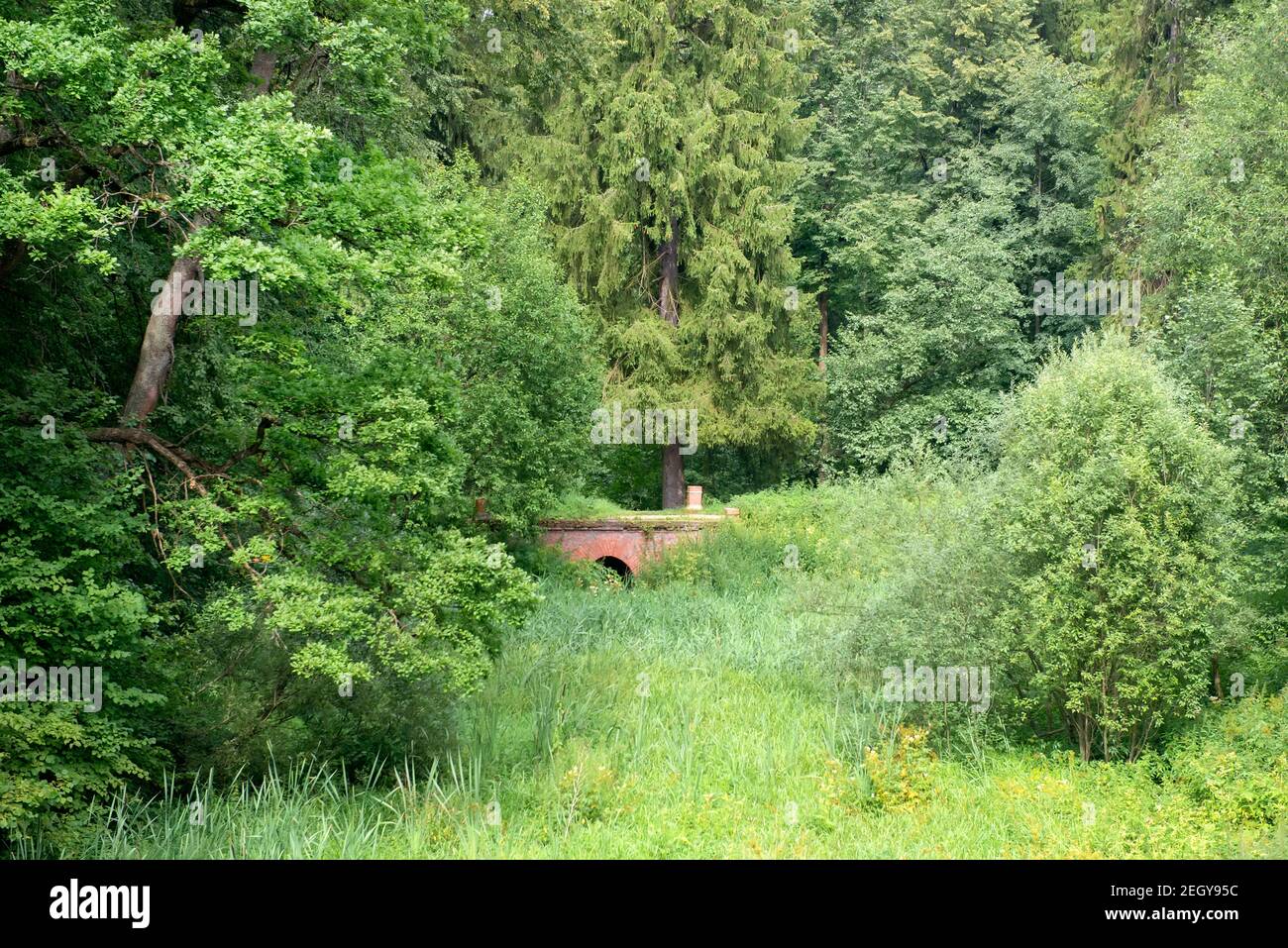 Wood stone pedestrian bridge on hi-res stock photography and images - Alamy
