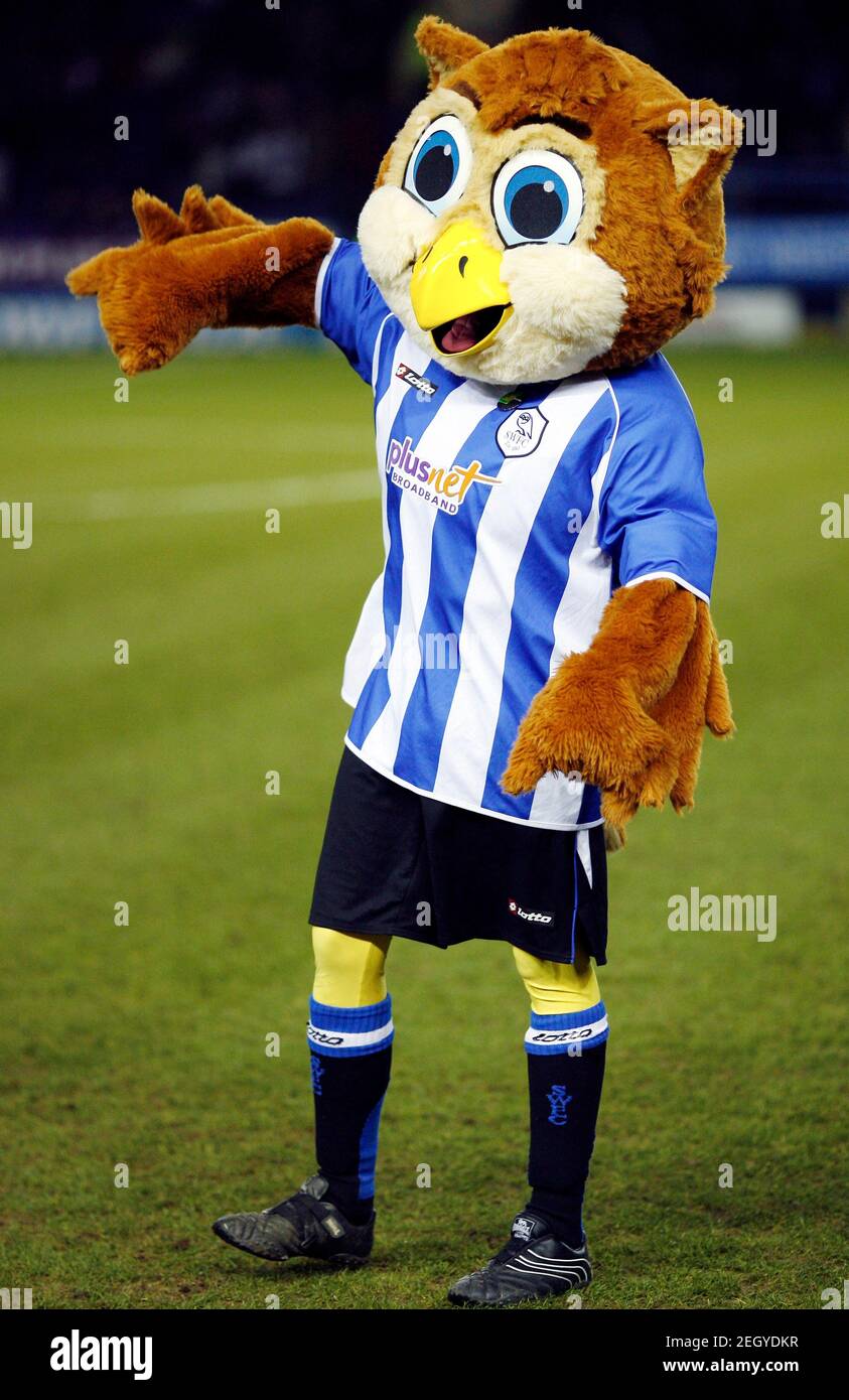 Sheffield wednesday mascot hi-res stock photography and images - Alamy