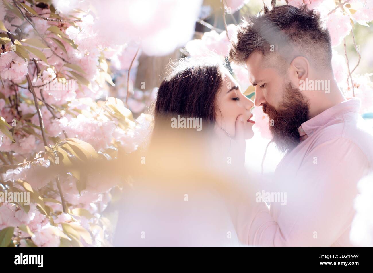 Couple kissing at blooming tree hi-res stock photography and images - Alamy
