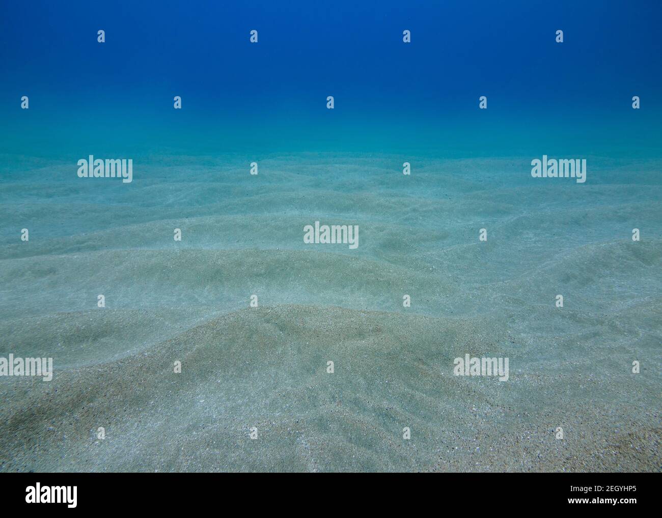 Ocean floor with the sand ripples and blue water background Stock Photo ...