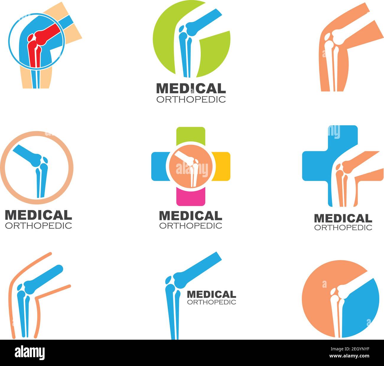 Knee Joint Vector