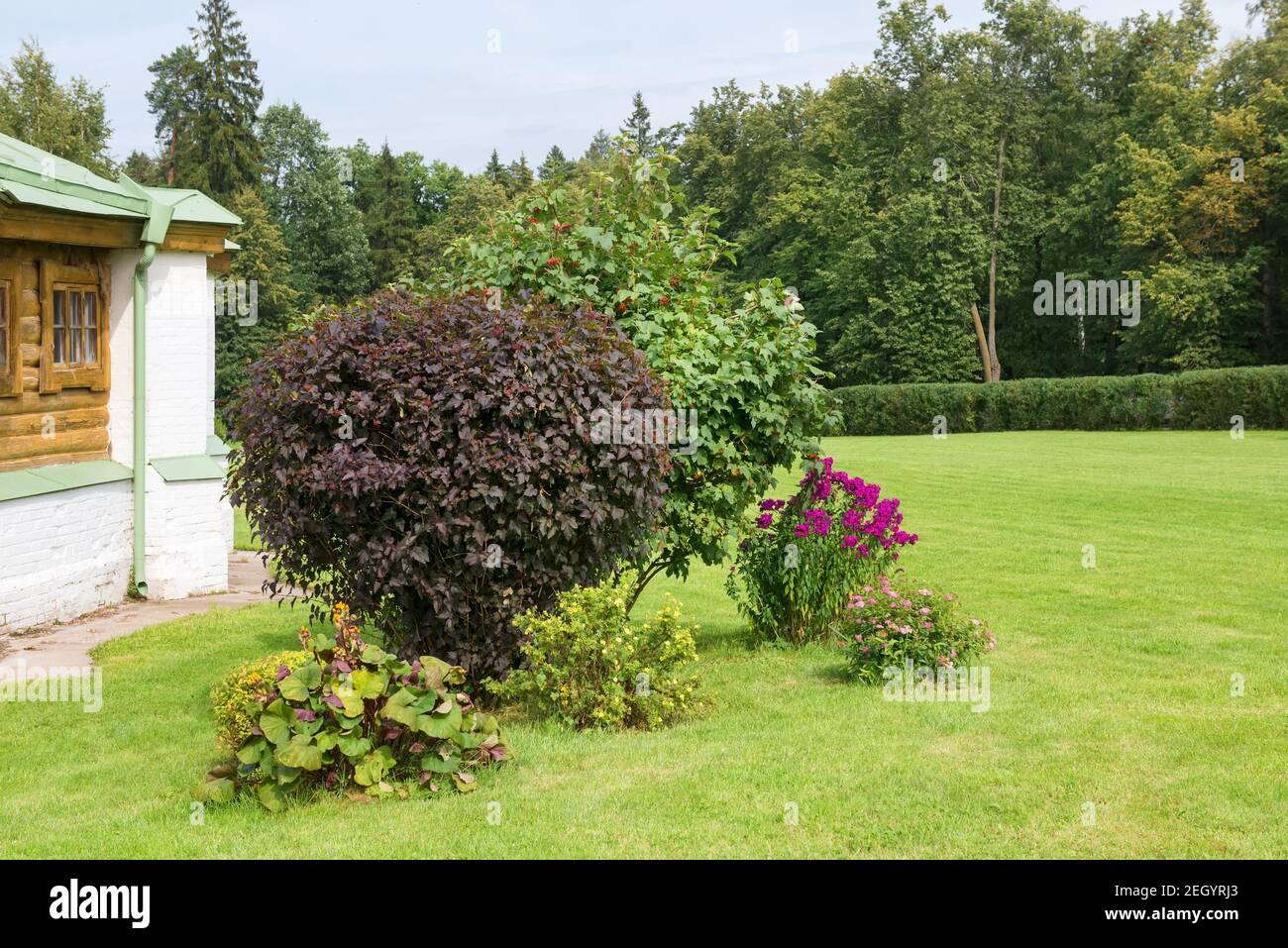 Garden design beautiful bushes hi-res stock photography and images - Alamy