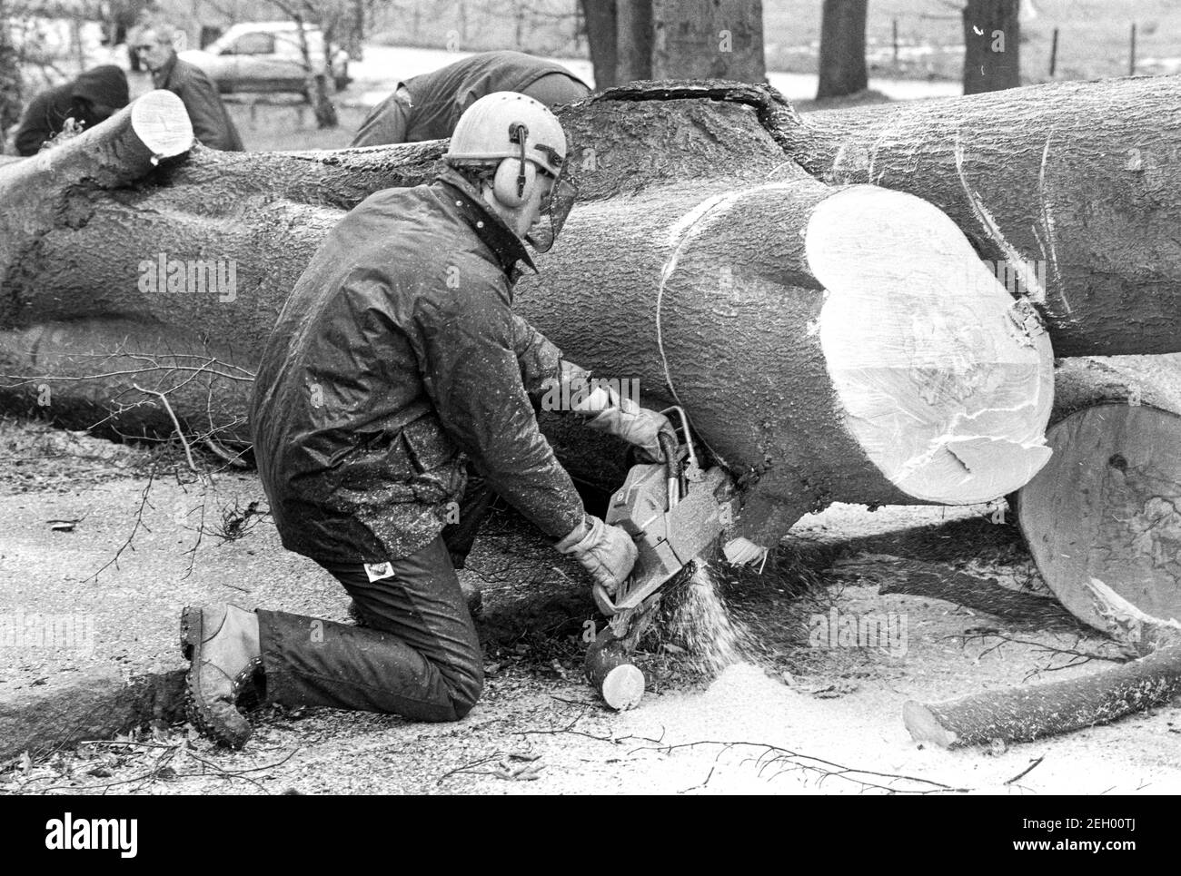 The Great Storm Of 25th January 1990 Stock Photo - Alamy
