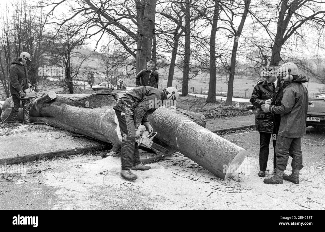 The Great Storm Of 25th January 1990 Stock Photo - Alamy