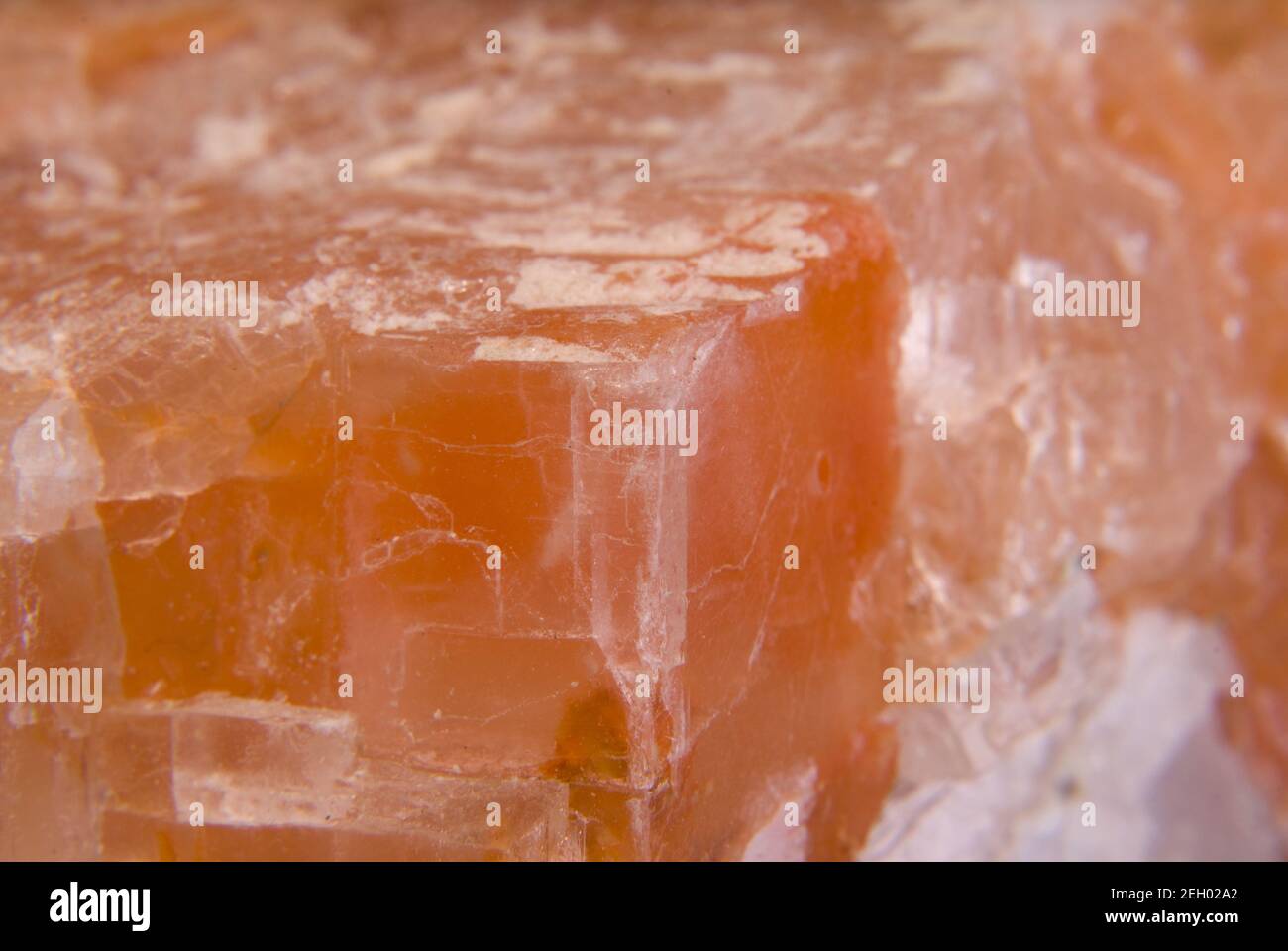 Canadian potash hi-res stock photography and images - Alamy