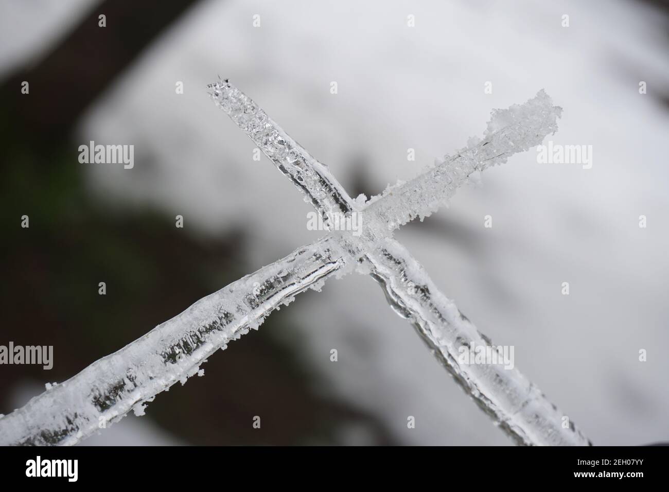 Shallow focus of two icicles on the blurred white background Stock ...