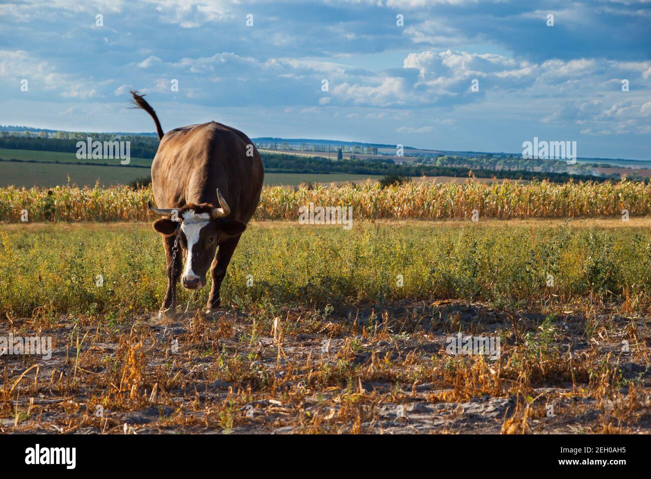 Finland moldova conflict hi-res stock photography and images - Alamy