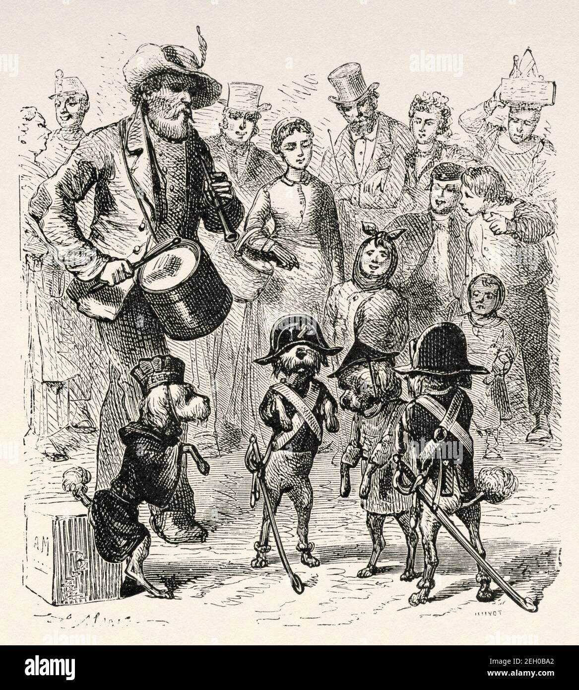 The dancing dogs. Art show with animals in the nineteenth century. Old 19th century engraved ...