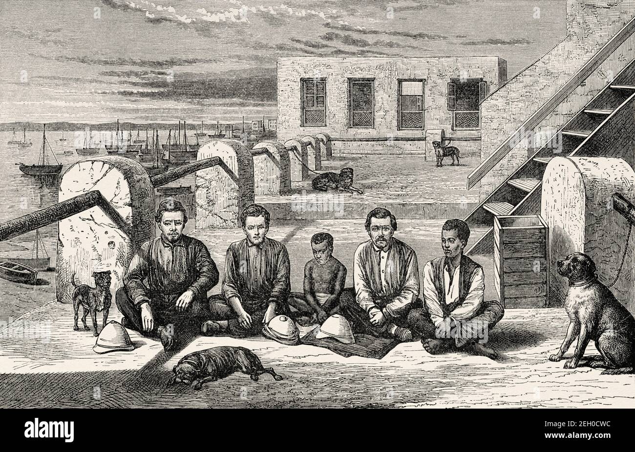 Stanley's Central African Expedition. Perspective from the roof of the ...