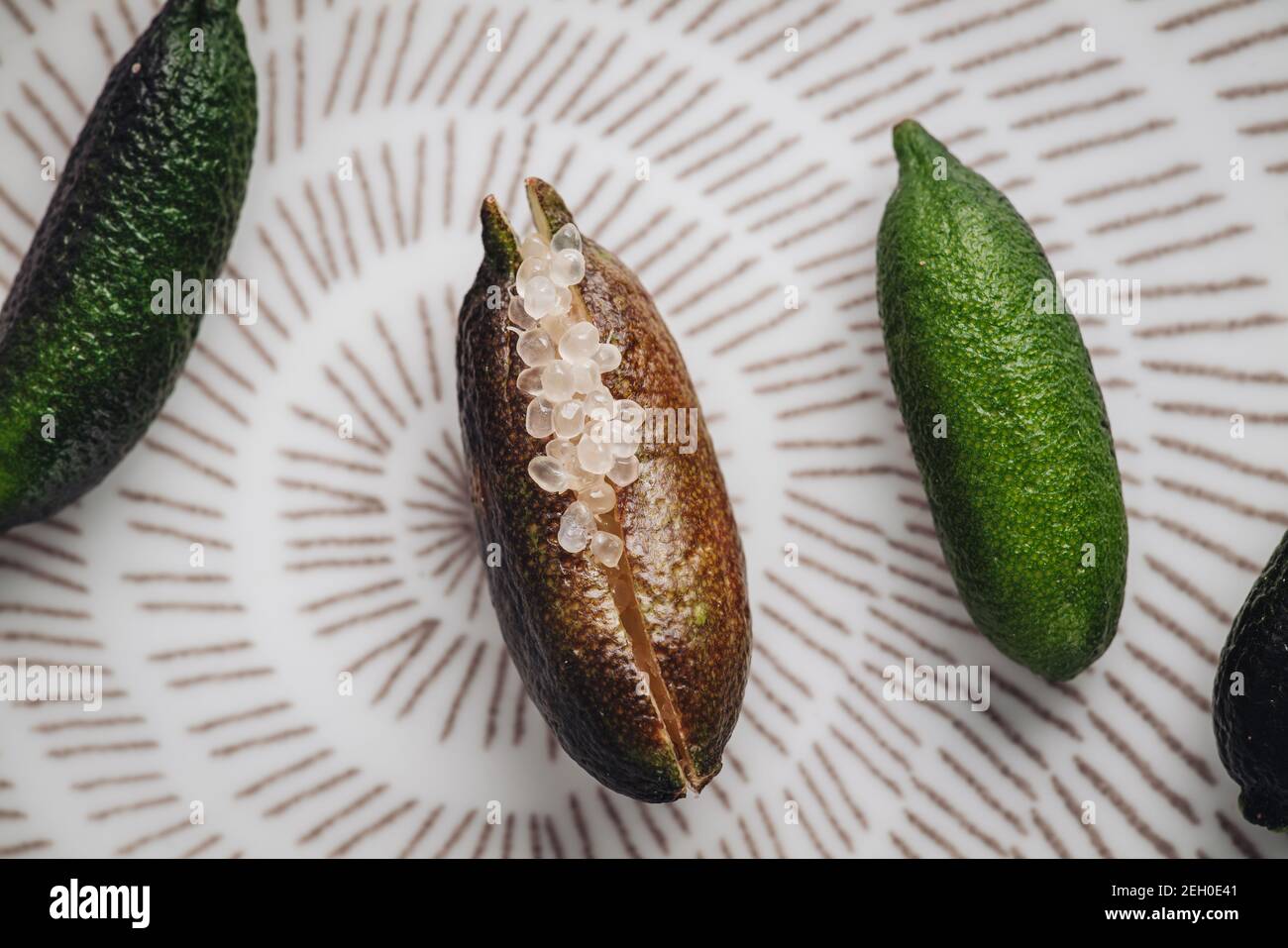 Australian finger lime citrus australasica hi-res stock photography and ...