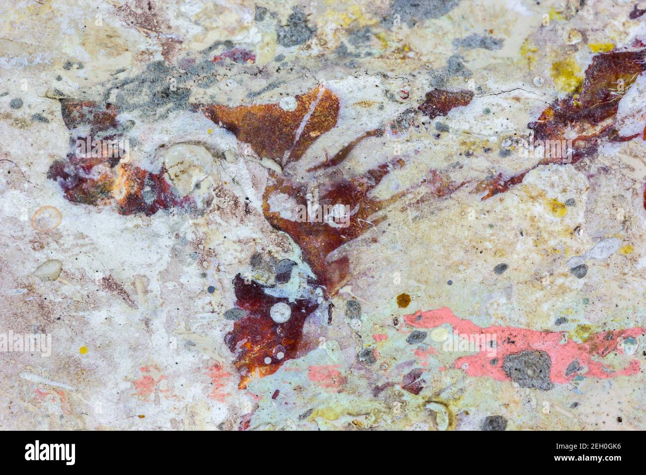 Abstract colorful background with paint splash textures and marble ...