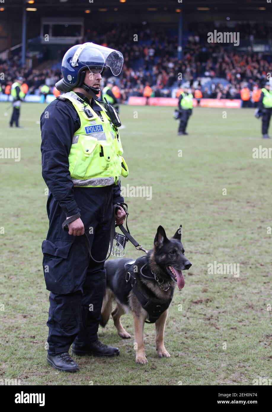 Sport football police officer dog hi-res stock photography and images ...