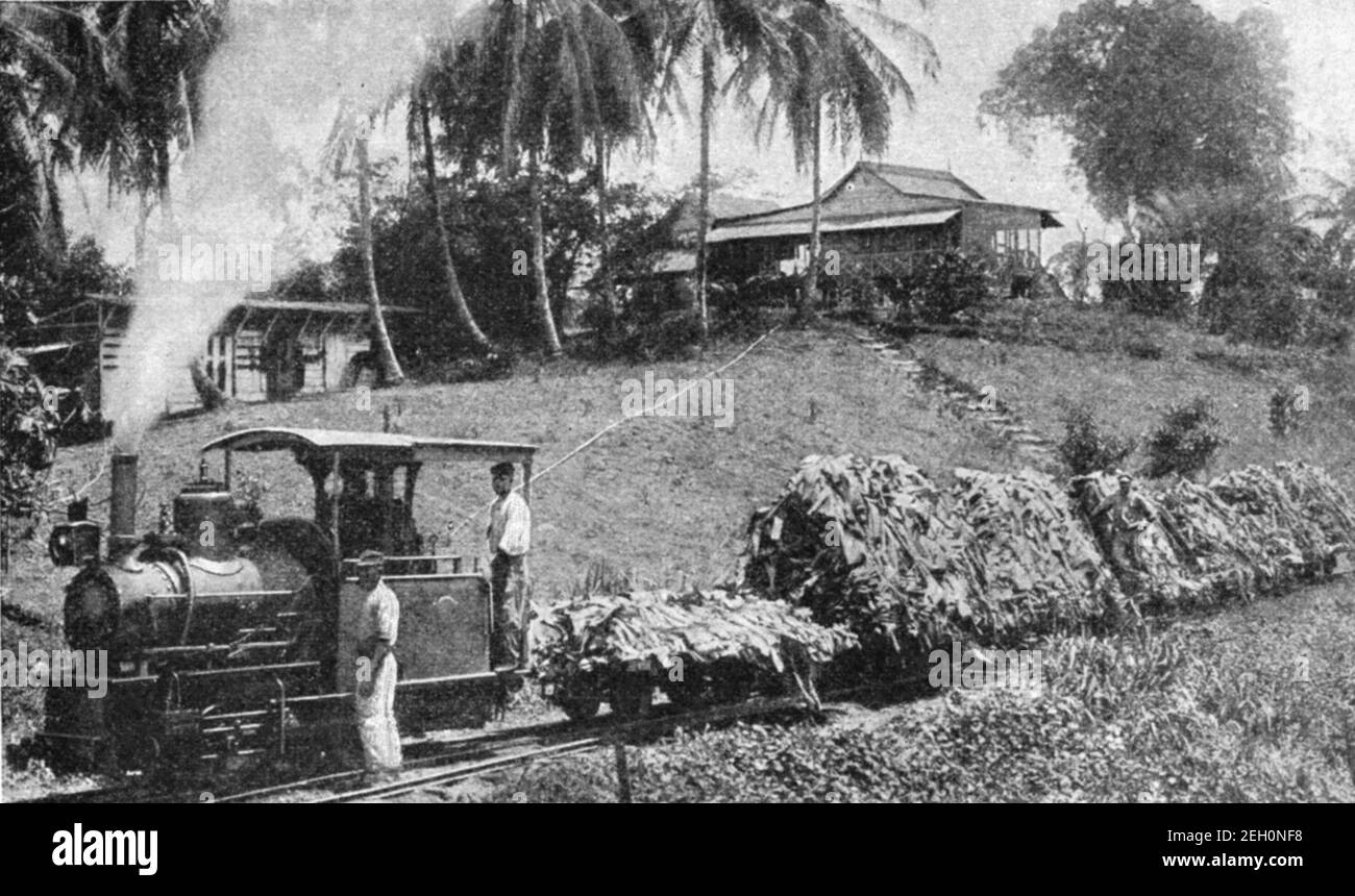 Archival narrow gauge steam locomotive Black and White Stock Photos ...