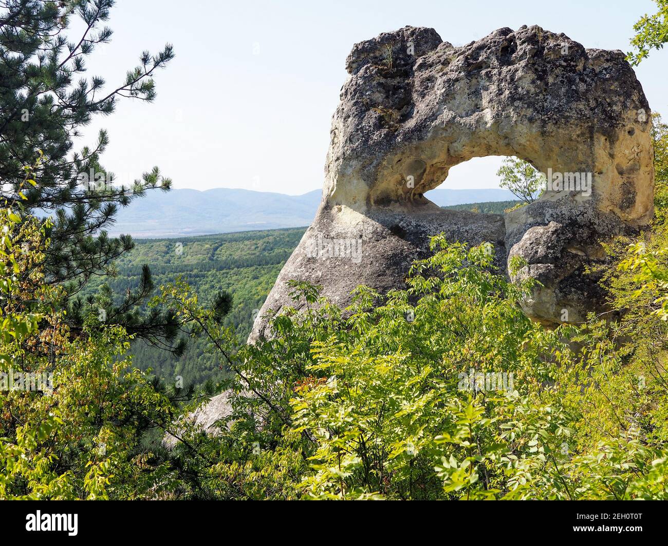 Stone arch and plants in Shumen Plateau Nature Park of Bulgaria Stock ...
