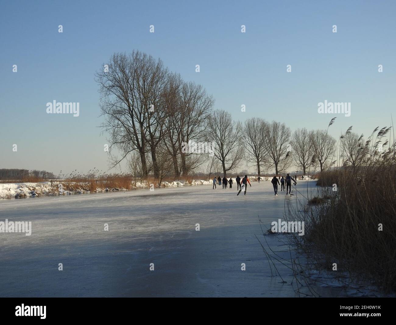 Natural ice skating rink with people on a sunny day in Biesbosch ...