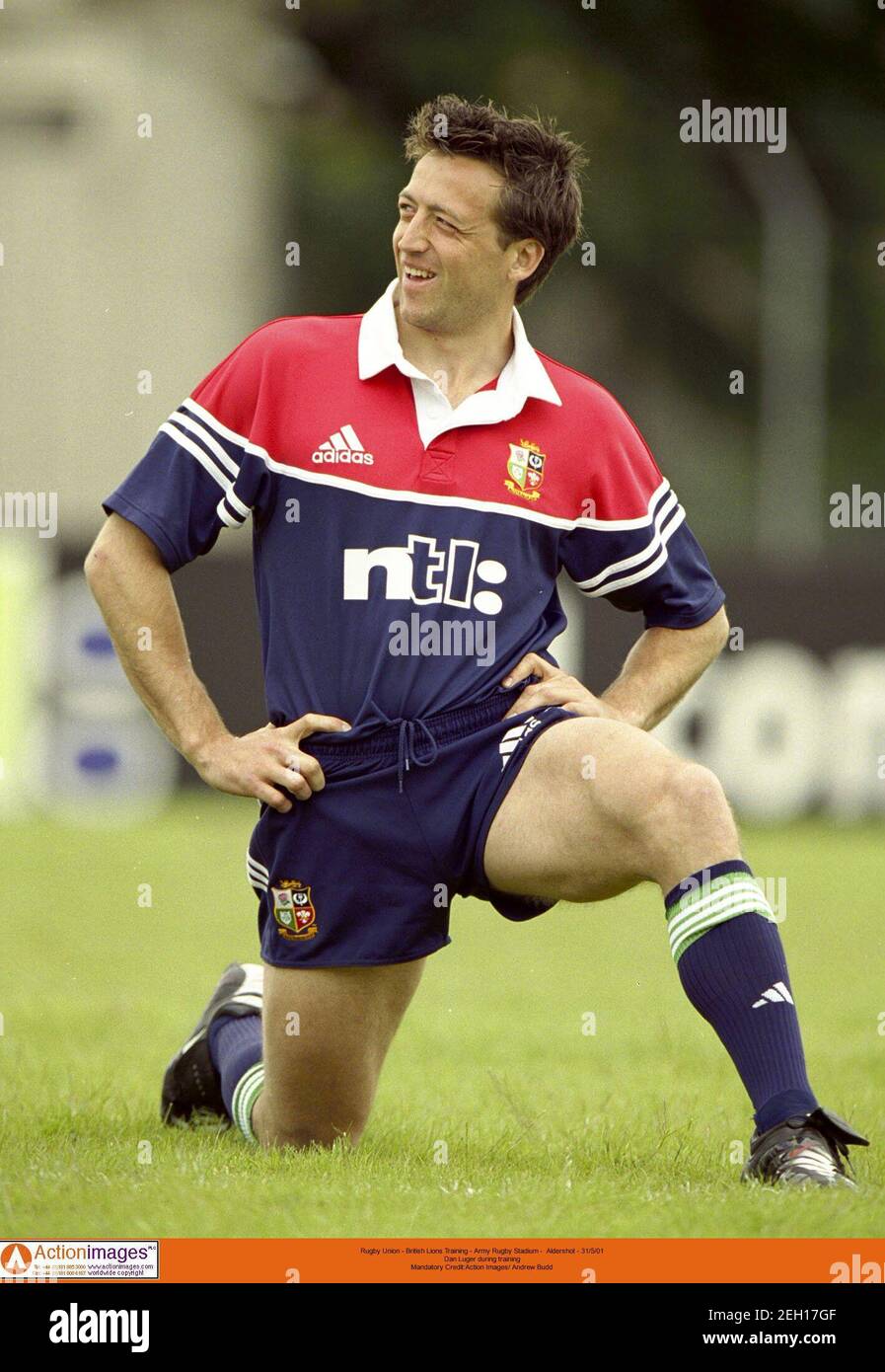 Irish lions dan luger hi-res stock photography and images - Alamy