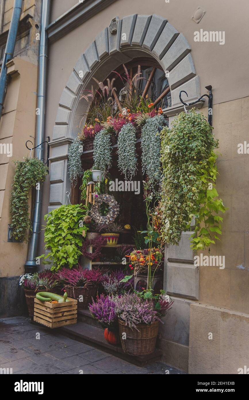 Showcase with colorful flowers and flowerpots at the entrance to the ...
