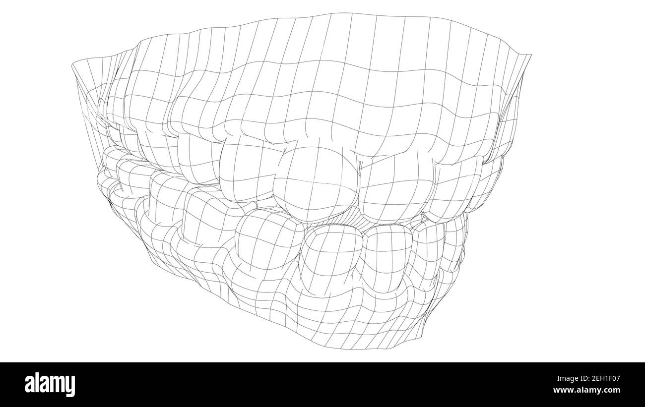 Wire-frame 3D teeth close up Stock Vector Image & Art - Alamy