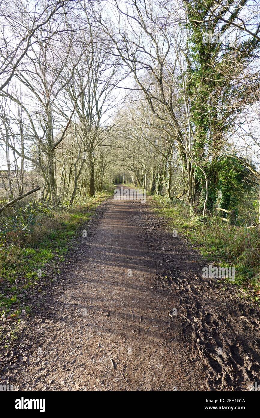 Forest Way a ten mile route on the national cycle network from East ...