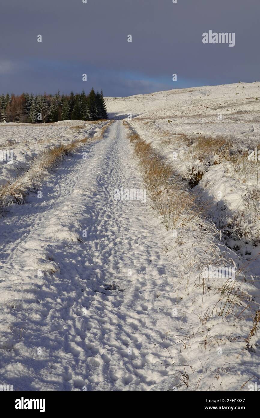 Drovers hi-res stock photography and images - Alamy