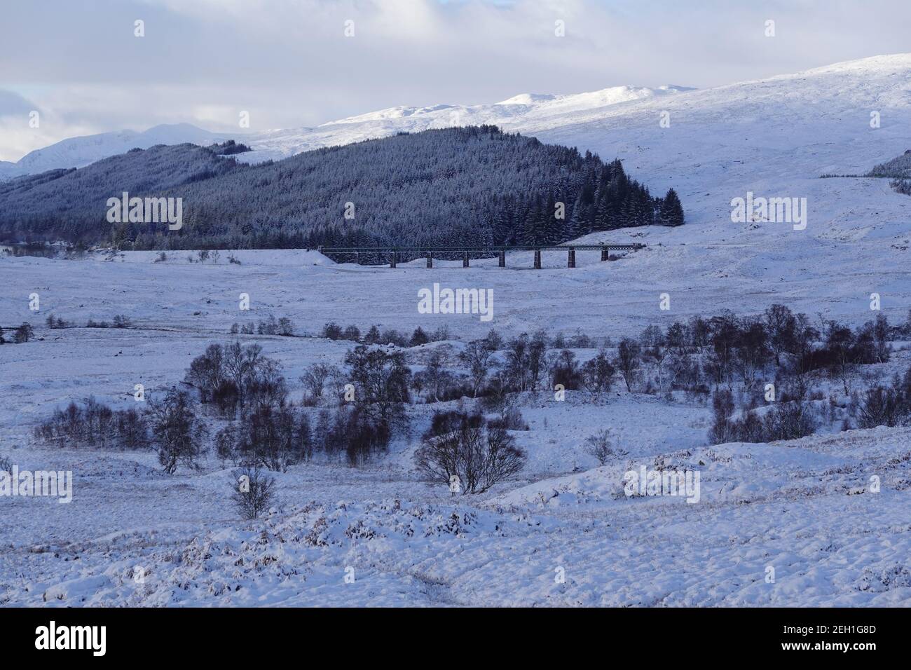 Winter view across Rannoch Moor towards Rannoch Station and railway ...