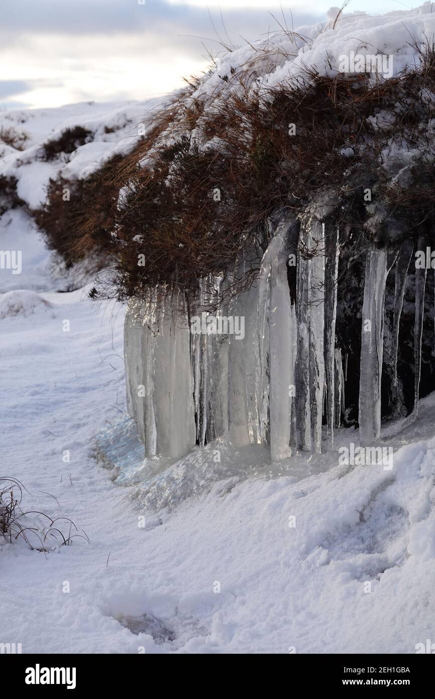 Iceicles on Scottish hillside Stock Photo - Alamy