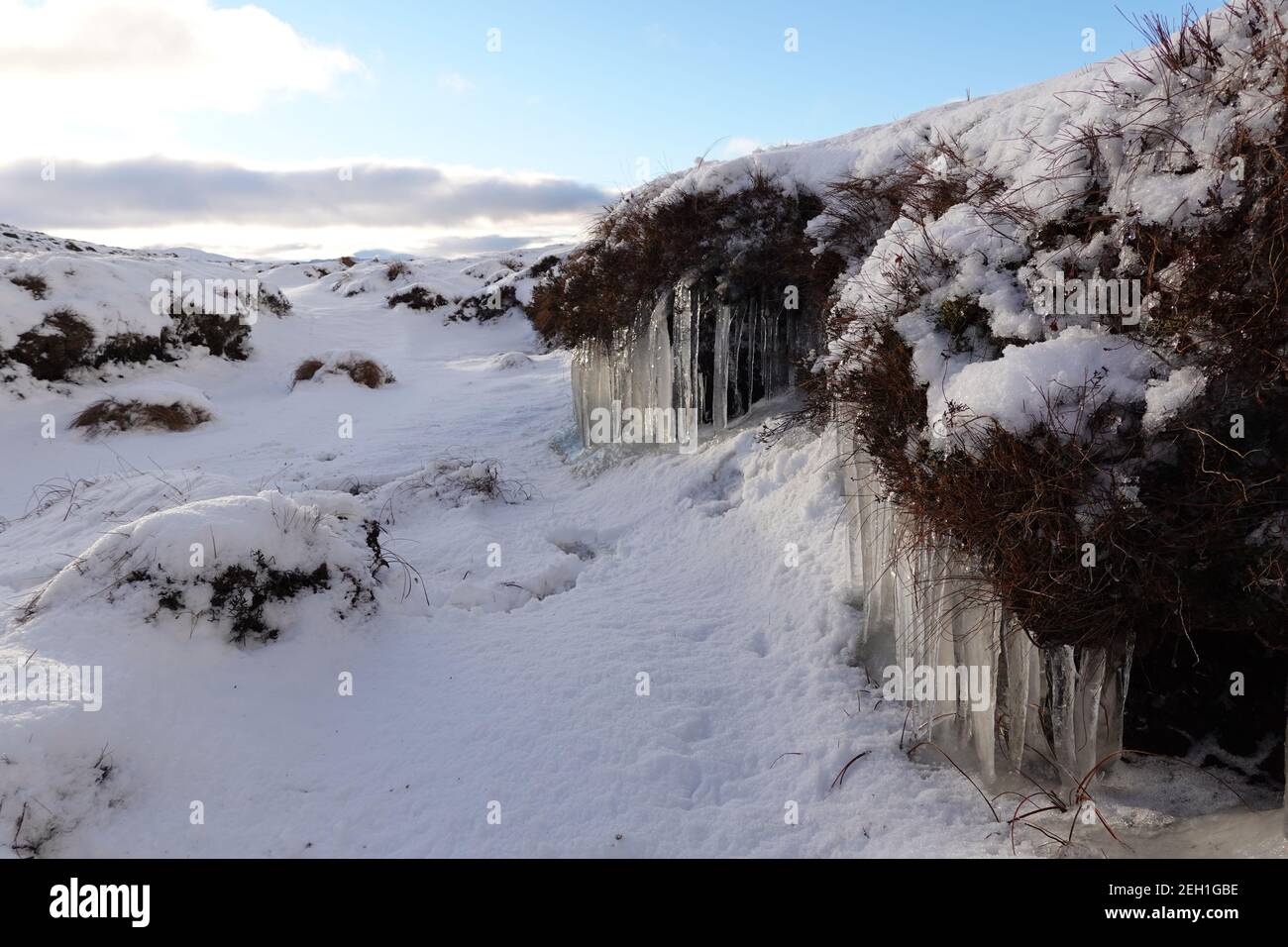 Iceicles on Scottish hillside Stock Photo - Alamy