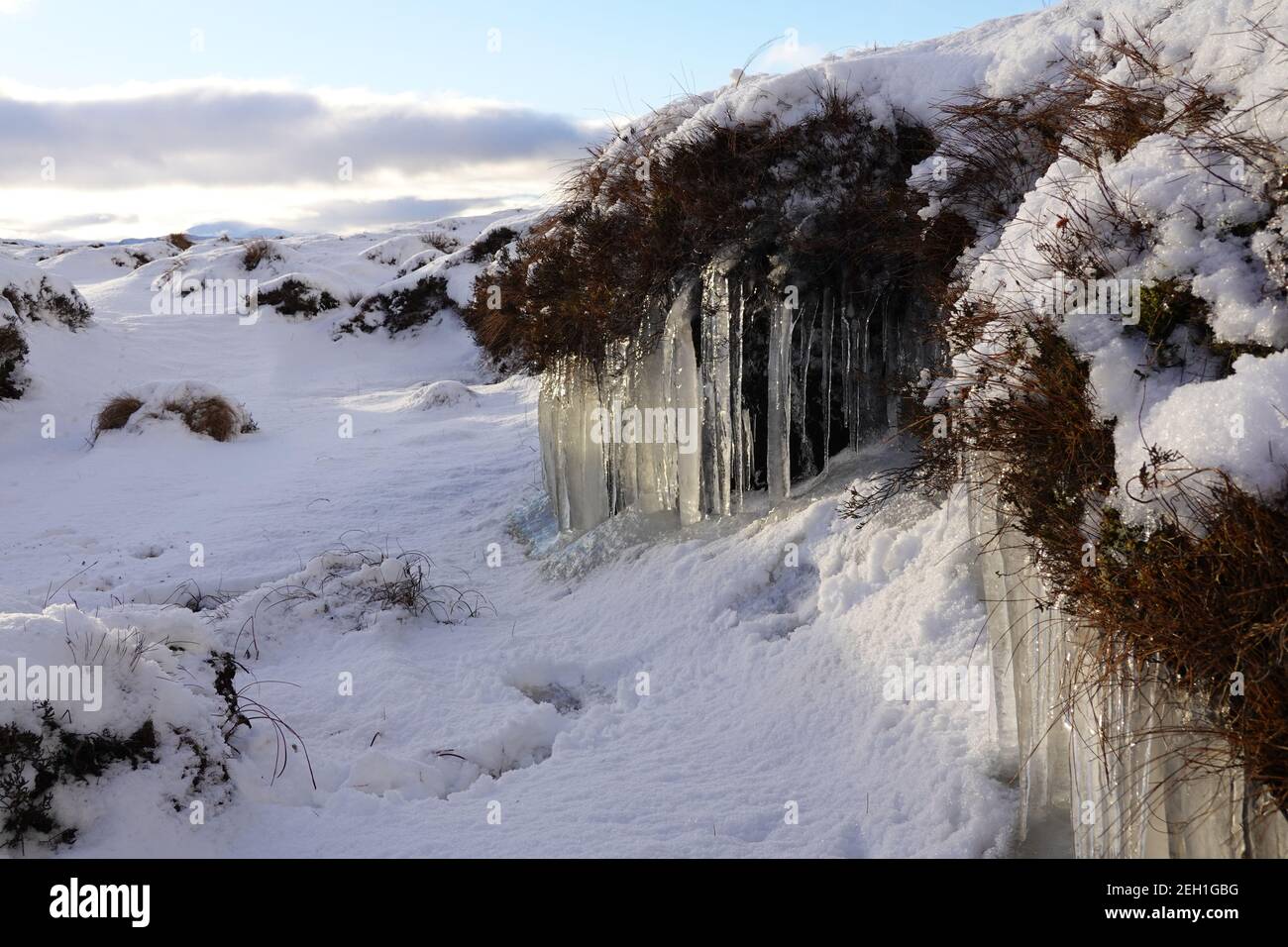 Iceicles on Scottish hillside Stock Photo - Alamy