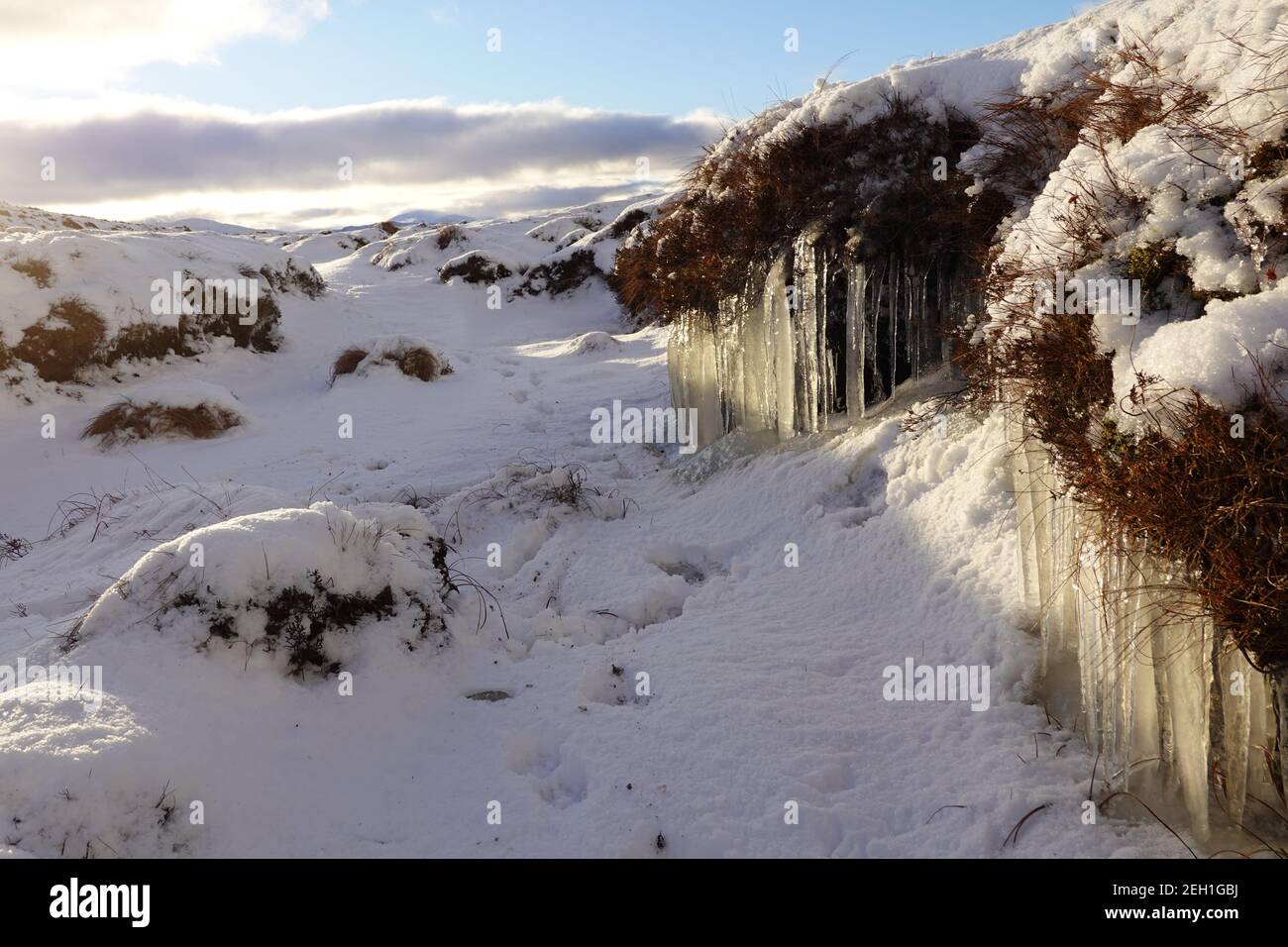 Iceicles on Scottish hillside Stock Photo - Alamy