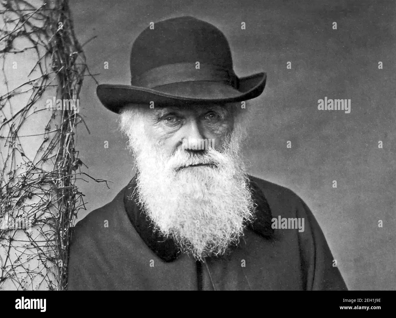 CHARLES DARWIN (1809-1882) English naturalist in 1878 Stock Photo - Alamy