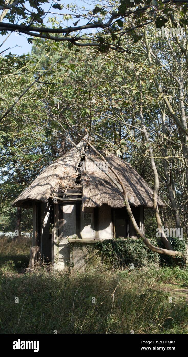 Old thatched, ruined building in the English countryside Stock Photo ...