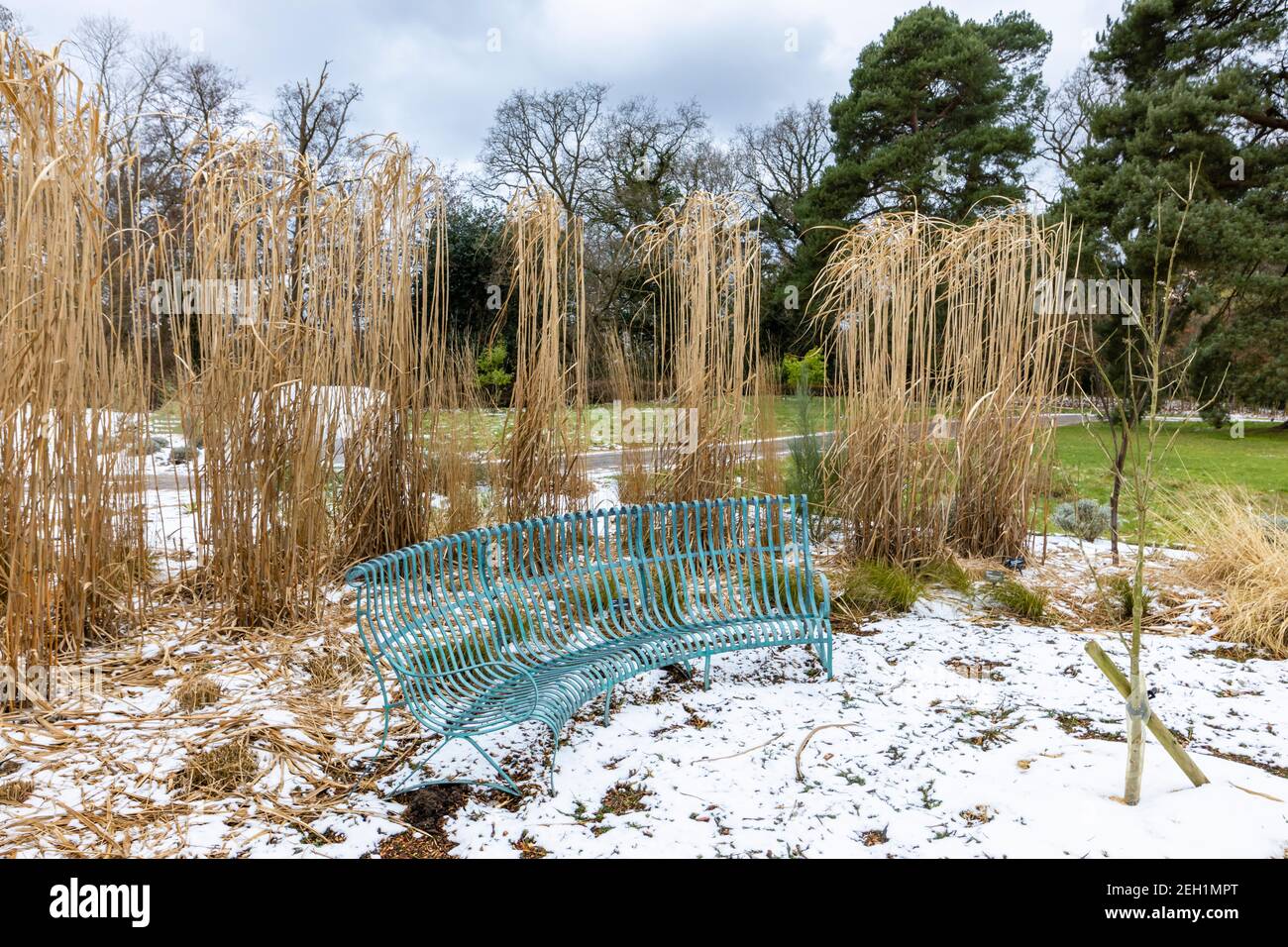A green curved metallic bench in the Grass Gardens in Howard's Field at ...